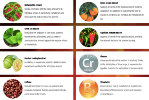 Fast Burn Extreme Review - A Powerful Fat Burning Formula